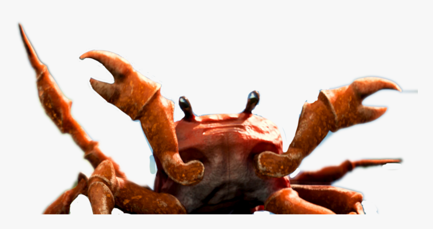 Big Image , Png Download - Crab Rave Transparent, Png Download ...