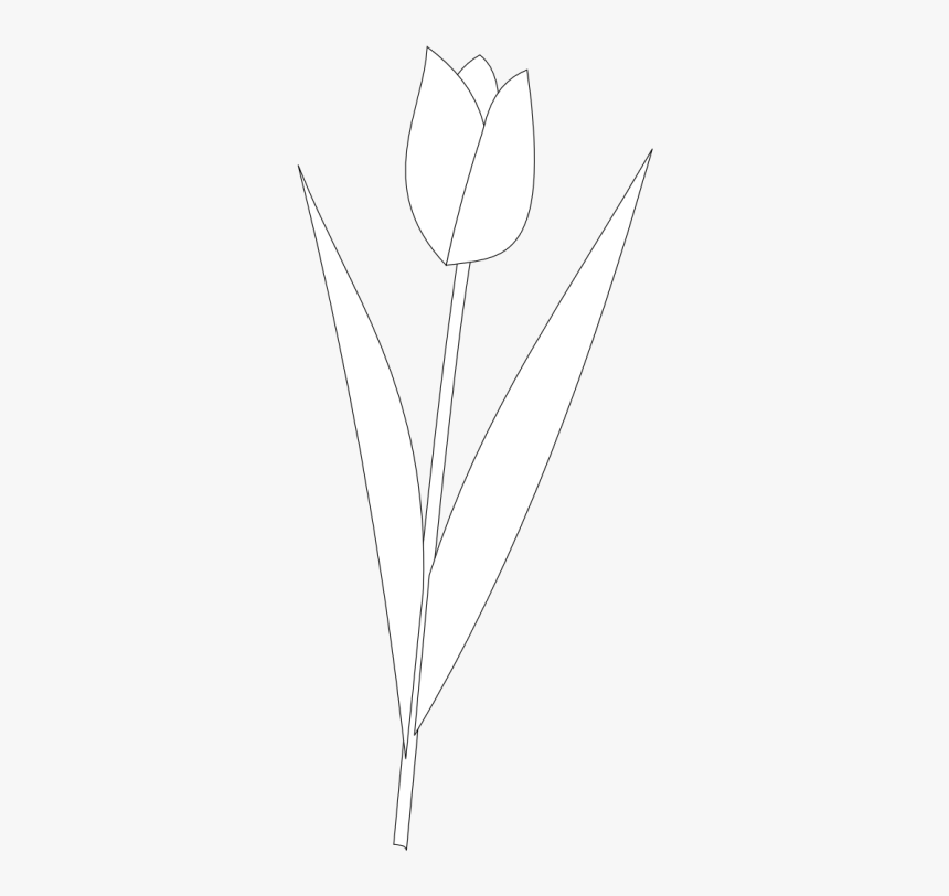 Line Art, HD Png Download , Transparent Png Image - PNGitem