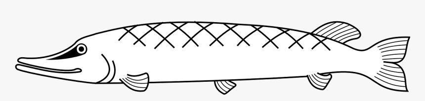 Fish Outline, HD Png Download , Transparent Png Image - PNGitem