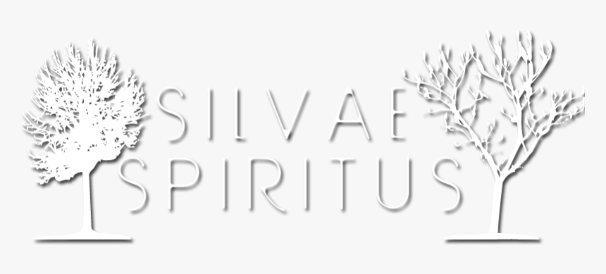 Silvae Spiritus - Tree, HD Png Download , Transparent Png Image - PNGitem