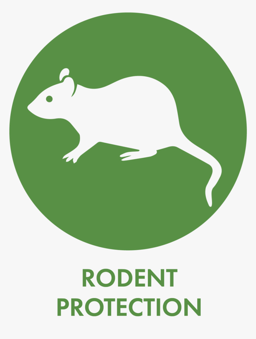 Web Icons Precise Rodent Protection - Fire Protection, HD Png Download ...