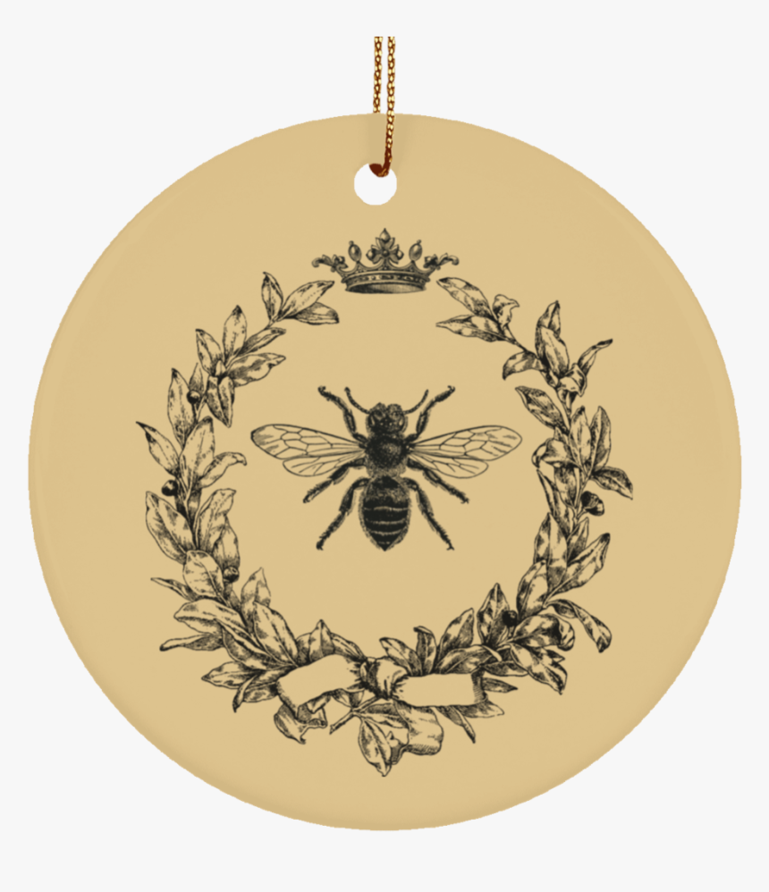 Dexandra, HD Png Download , Transparent Png Image - PNGitem