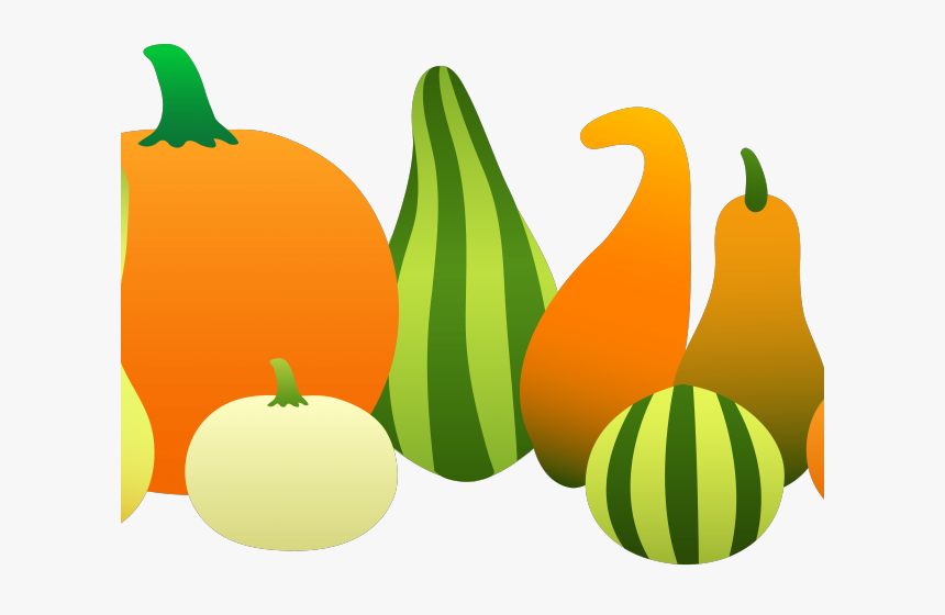 Transparent Butternut Squash Clipart - Pumpkins And Gourds Clip Art, HD ...