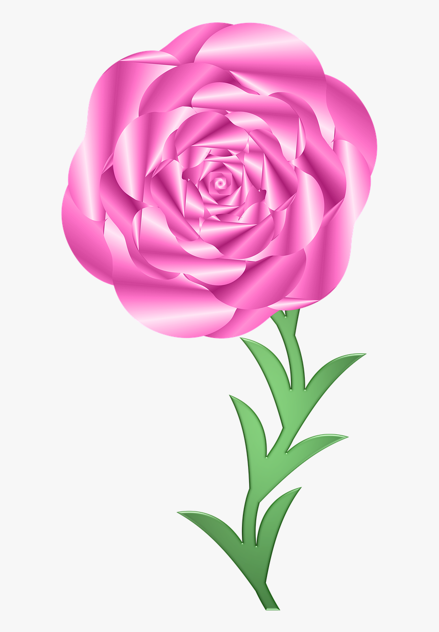 Hybrid Tea Rose, HD Png Download , Transparent Png Image - PNGitem
