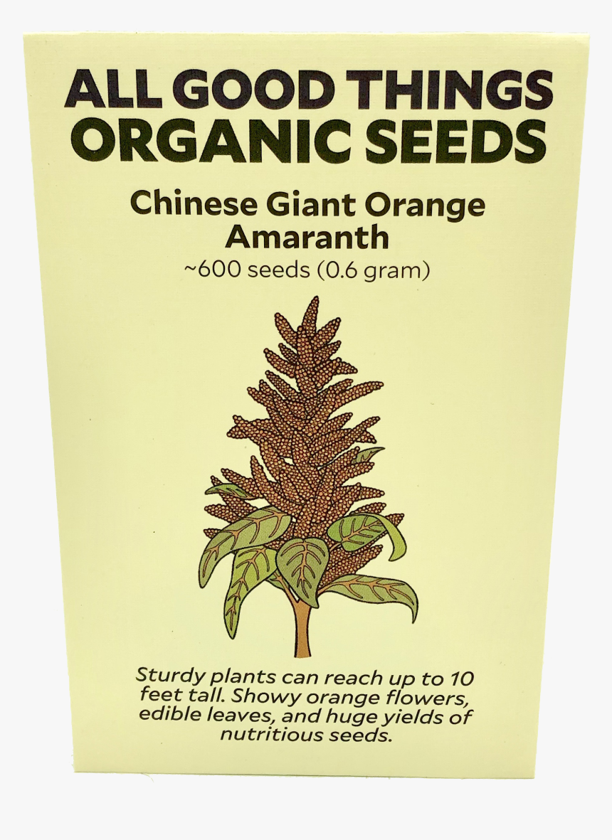 Chinese Giant Orange Amaranth - Lodgepole Pine, HD Png Download ...