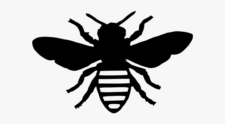 Bee.png, Transparent Png , Transparent Png Image - PNGitem