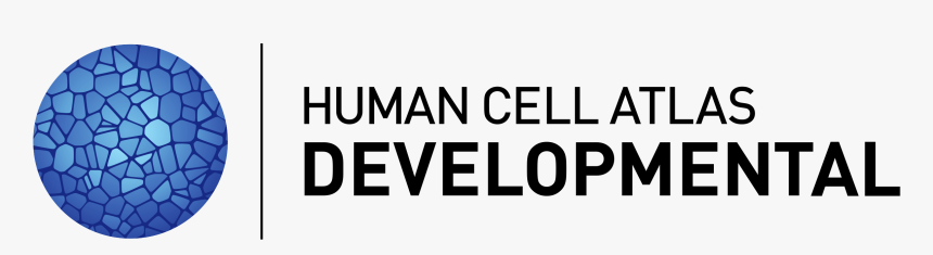 Human Cell Png, Transparent Png , Transparent Png Image - PNGitem