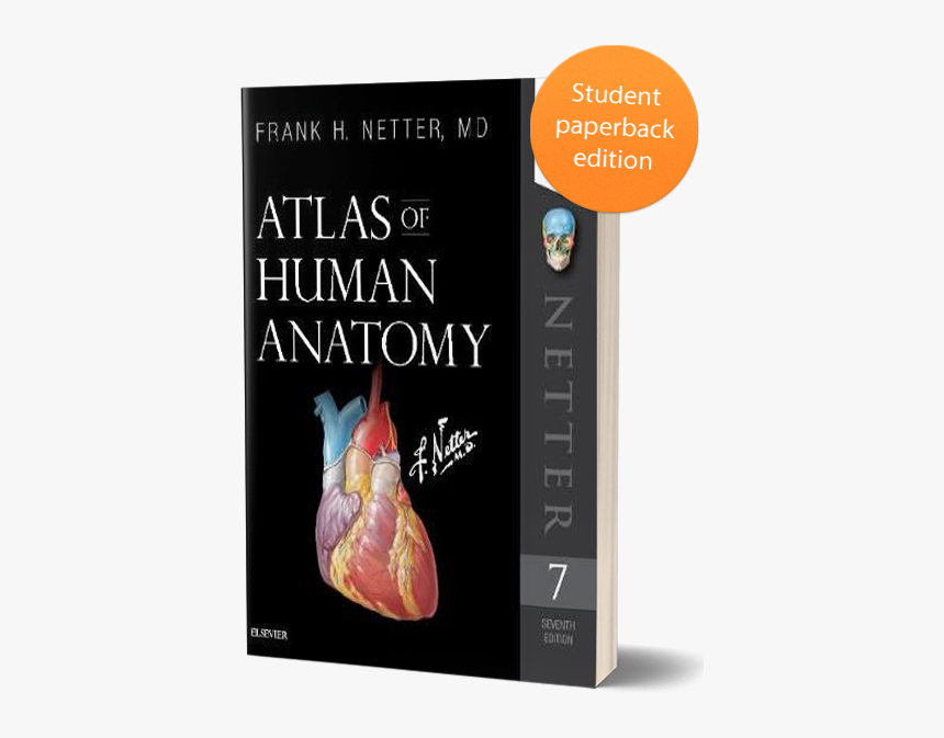 9780323393225 Netter Student - Atlas Of Human Anatomy Netter 7th, HD ...