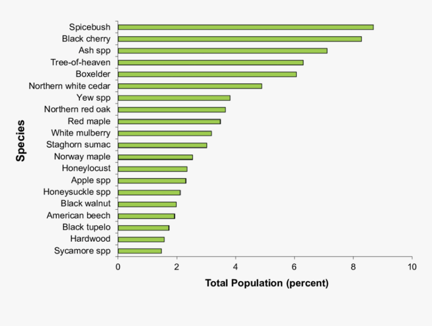 Tree Of Heaven Population, HD Png Download , Transparent Png Image ...