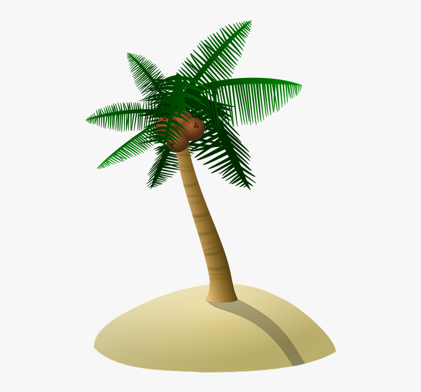 Palm Coconut Tree Icon Symbol - Riddle English, HD Png Download ...