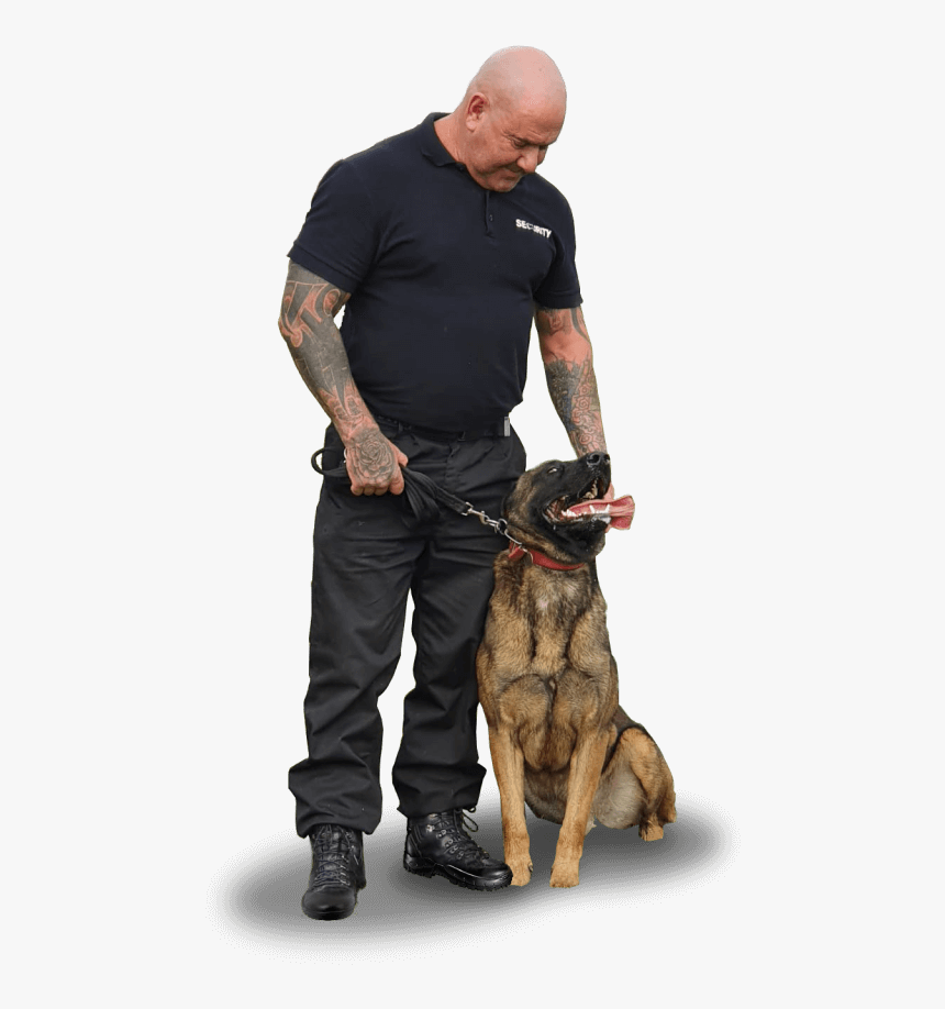Police Dog, HD Png Download , Transparent Png Image - PNGitem