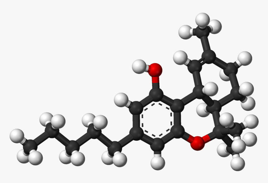 Hyaluronic Acid Molecule 3d - Mbba, HD Png Download , Transparent Png ...