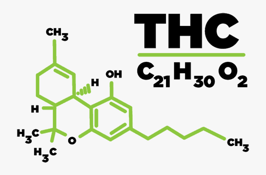 Molecule For Thc, HD Png Download , Transparent Png Image - PNGitem