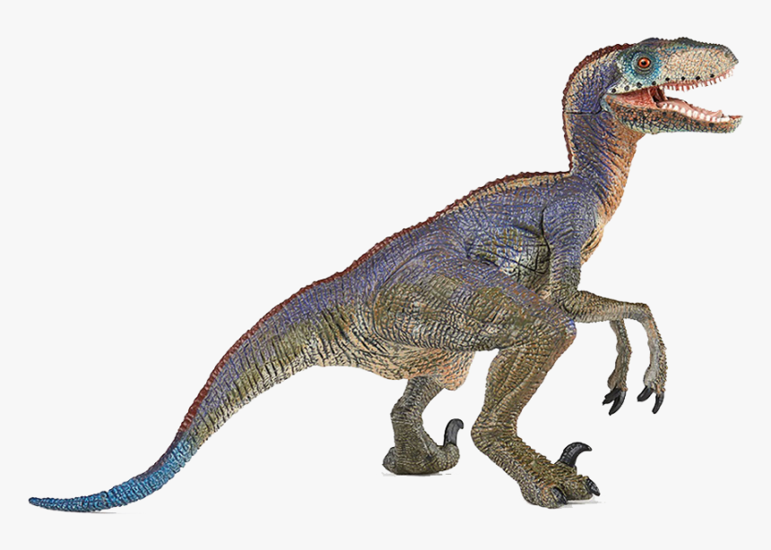 Dinosaur Png Free Images - Velociraptor Dinosaurs, Transparent Png ...