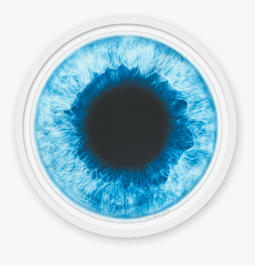 Transparent Frozen Frame Png - Mark Quinn Heliosphere, Png Download ...