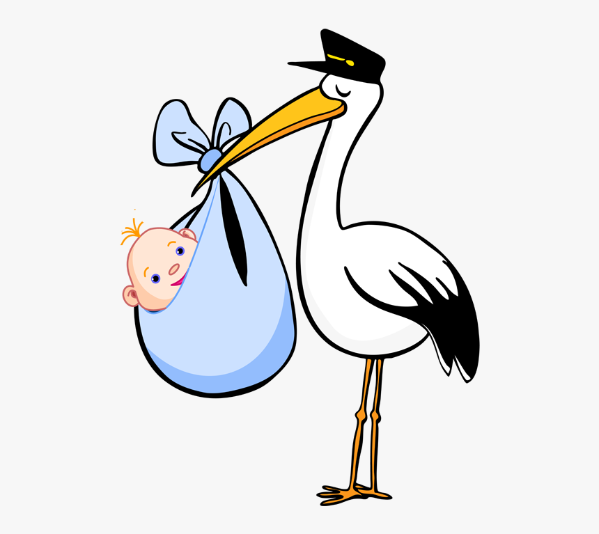 Stork Baby Png - Stork Clipart, Transparent Png , Transparent Png Image ...
