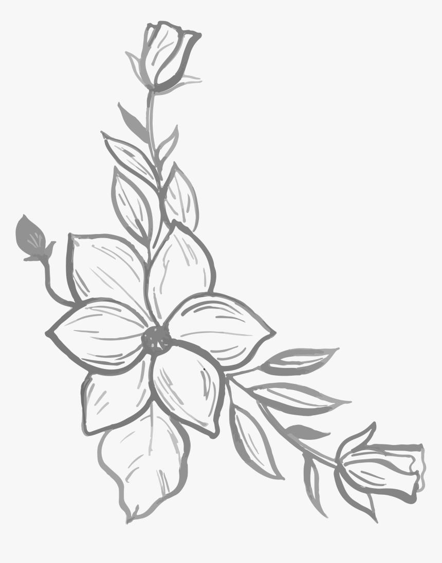 Ixia, HD Png Download , Transparent Png Image - PNGitem