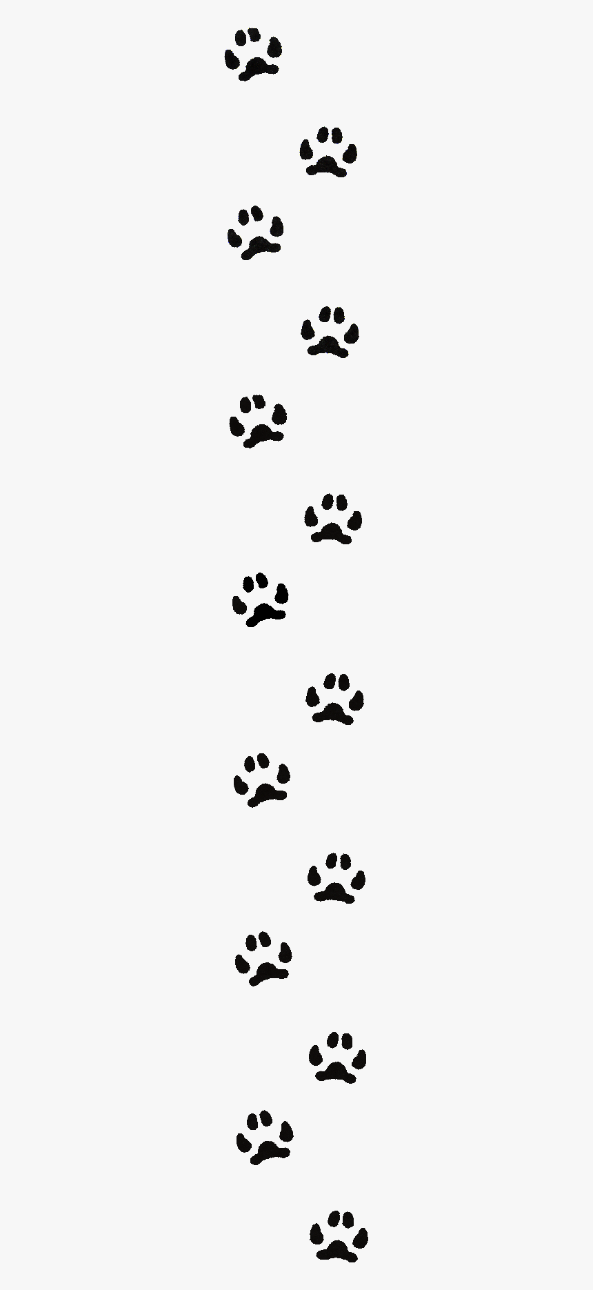 Paw Print Border Line, HD Png Download , Transparent Png Image - PNGitem