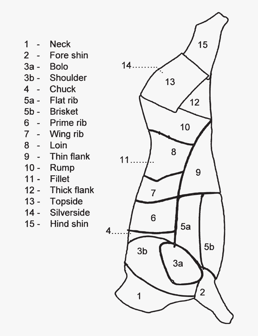Beef Carcass Cuts, HD Png Download , Transparent Png Image - PNGitem