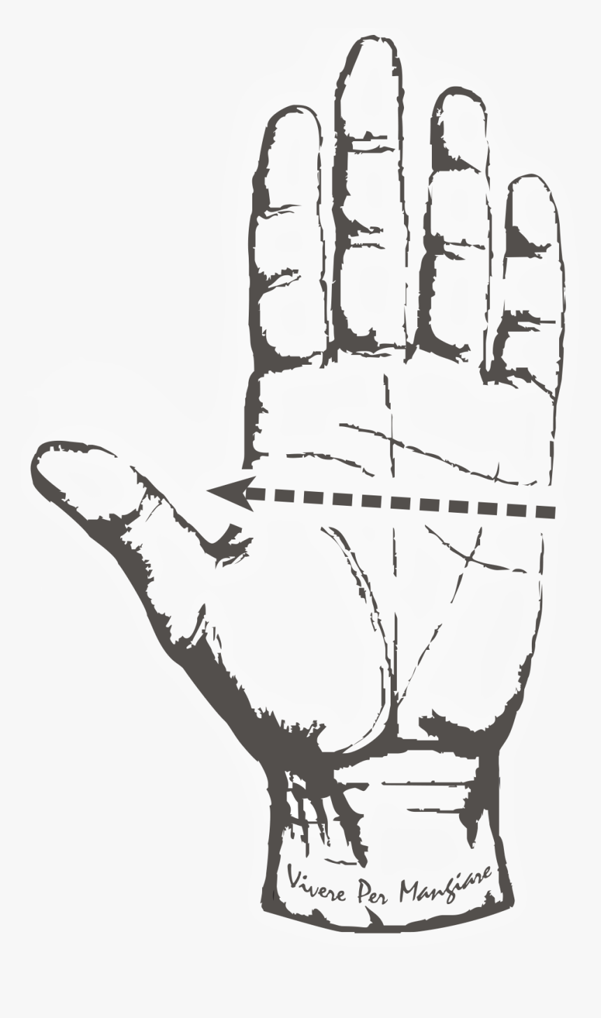 3palms Hand - Palm Reading Guide, HD Png Download , Transparent Png ...