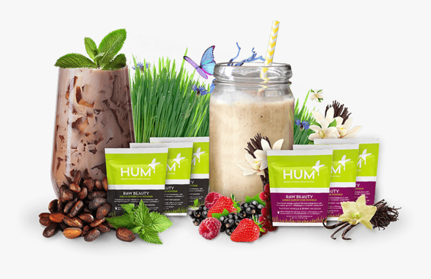 Hum, HD Png Download , Transparent Png Image - PNGitem