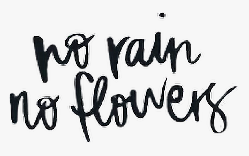 #norain #rain #flowers #quotes #quote #cursive #norainnoflowers ...