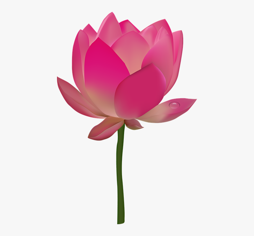Transparent Pink Flower Emoji Png - Flower Clipart Transparent ...