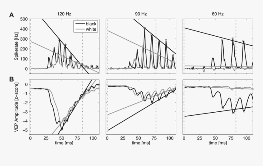 Diagram, HD Png Download , Transparent Png Image - PNGitem