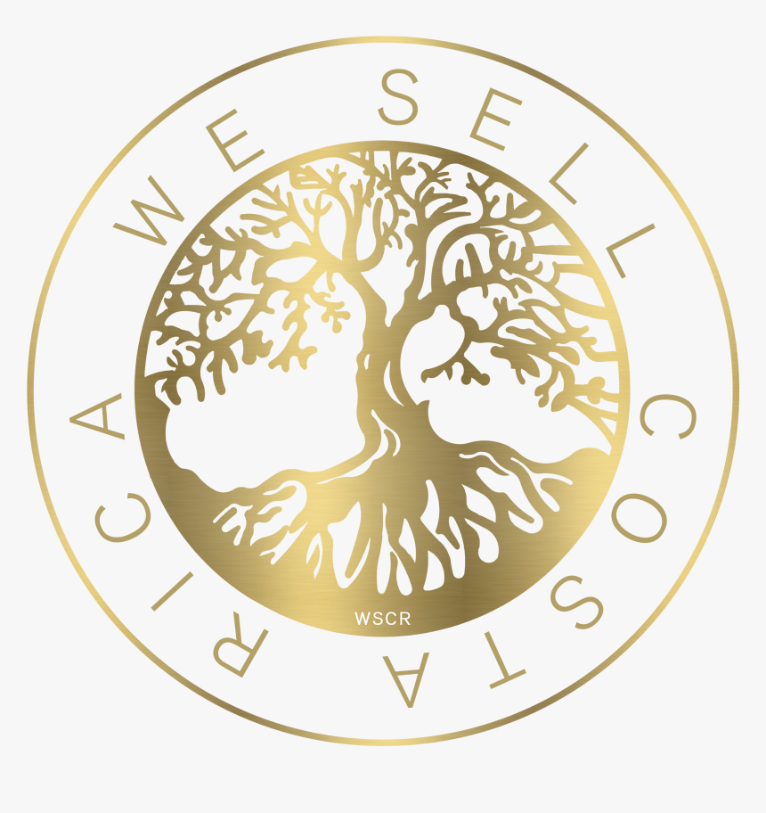 Symbol Of The Garden Of Eden, HD Png Download , Transparent Png Image ...