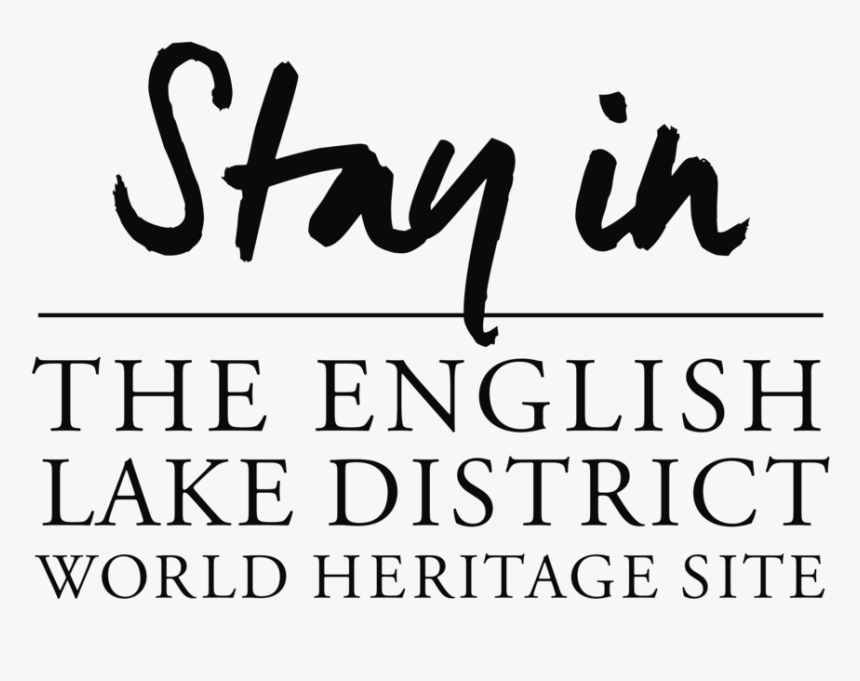 Stay In - Calligraphy, HD Png Download , Transparent Png Image - PNGitem