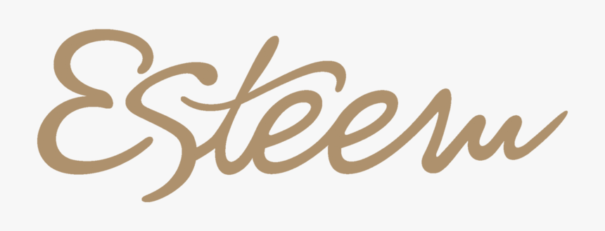 Esteemlogo-1920x1080 - Calligraphy, HD Png Download , Transparent Png ...