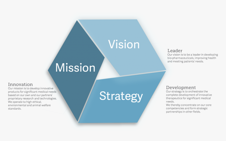 Vision Mission Strategy Statement Infographic - Sunenergy, HD Png ...