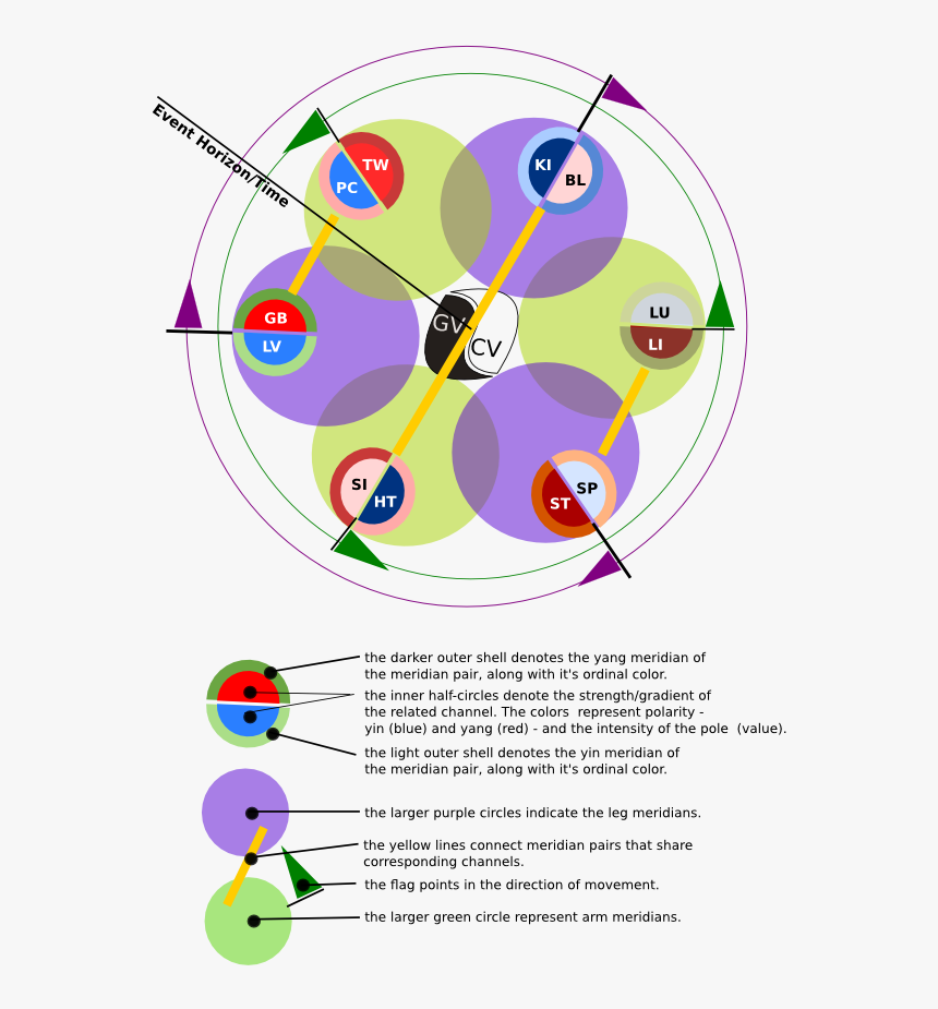 Meridian 2d Diagram - Circle, HD Png Download , Transparent Png Image ...