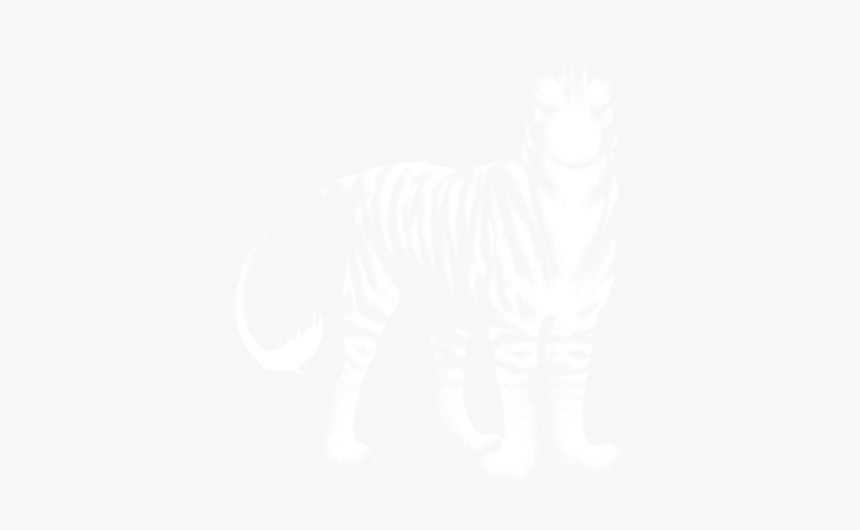 Zebra, HD Png Download , Transparent Png Image - PNGitem