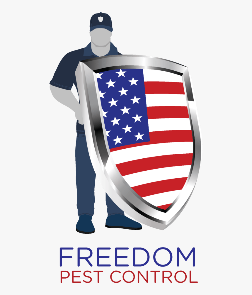 Usa Flag, HD Png Download , Transparent Png Image - PNGitem