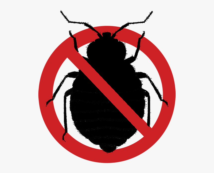 Bed Bug Elimination Logo - Bed Bug, HD Png Download , Transparent Png ...