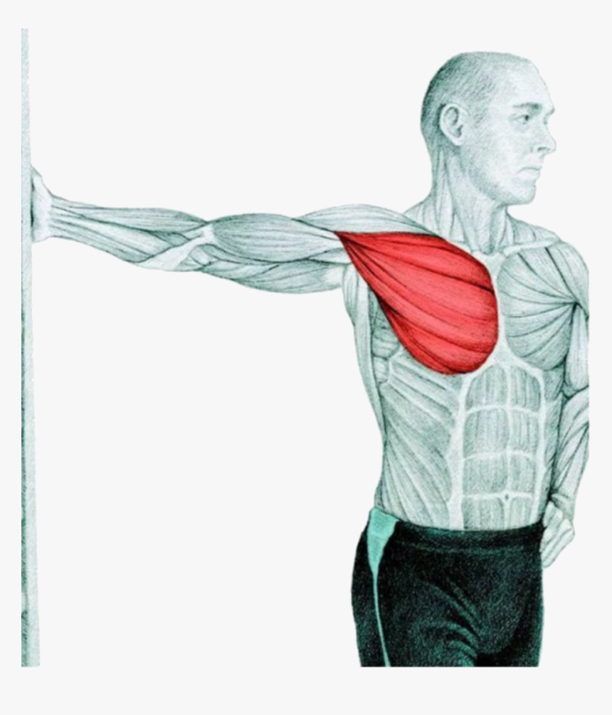 29 Myswimpro Stretch Chest Stretch At Wall - Chest Stretch At The Wall ...