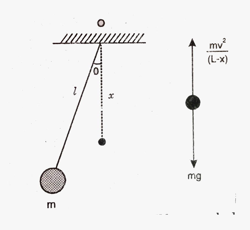 Diagram, HD Png Download , Transparent Png Image - PNGitem