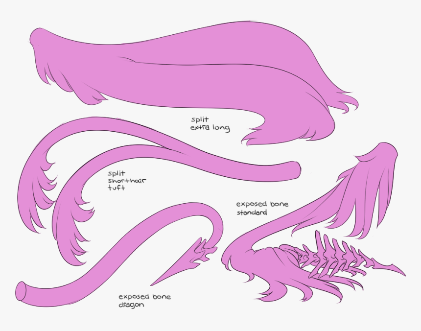Picture - Dragon With Two Tails, HD Png Download , Transparent Png ...