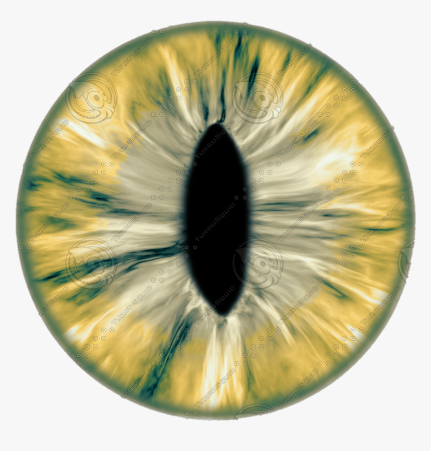 New 20 Eye Lens Png For Editing Eyes Lens Png Download - Eye Texture ...