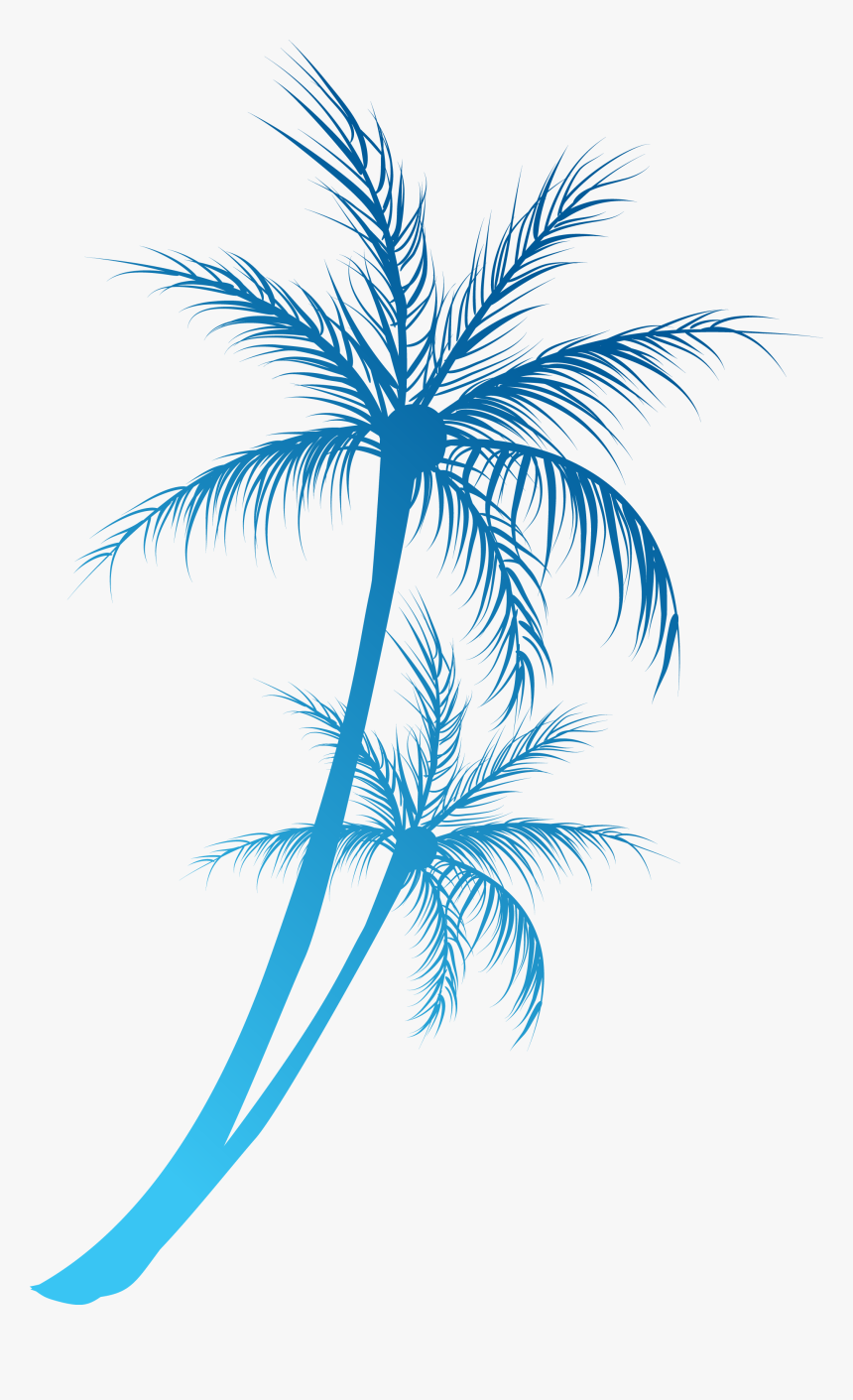 Arecaceae Royalty Free Clip - Blue Palm Tree Png, Transparent Png ...