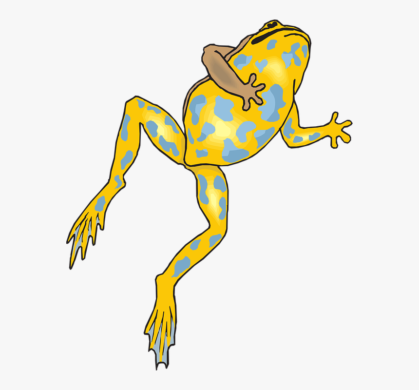 Dead Frog Clipart, HD Png Download , Transparent Png Image - PNGitem