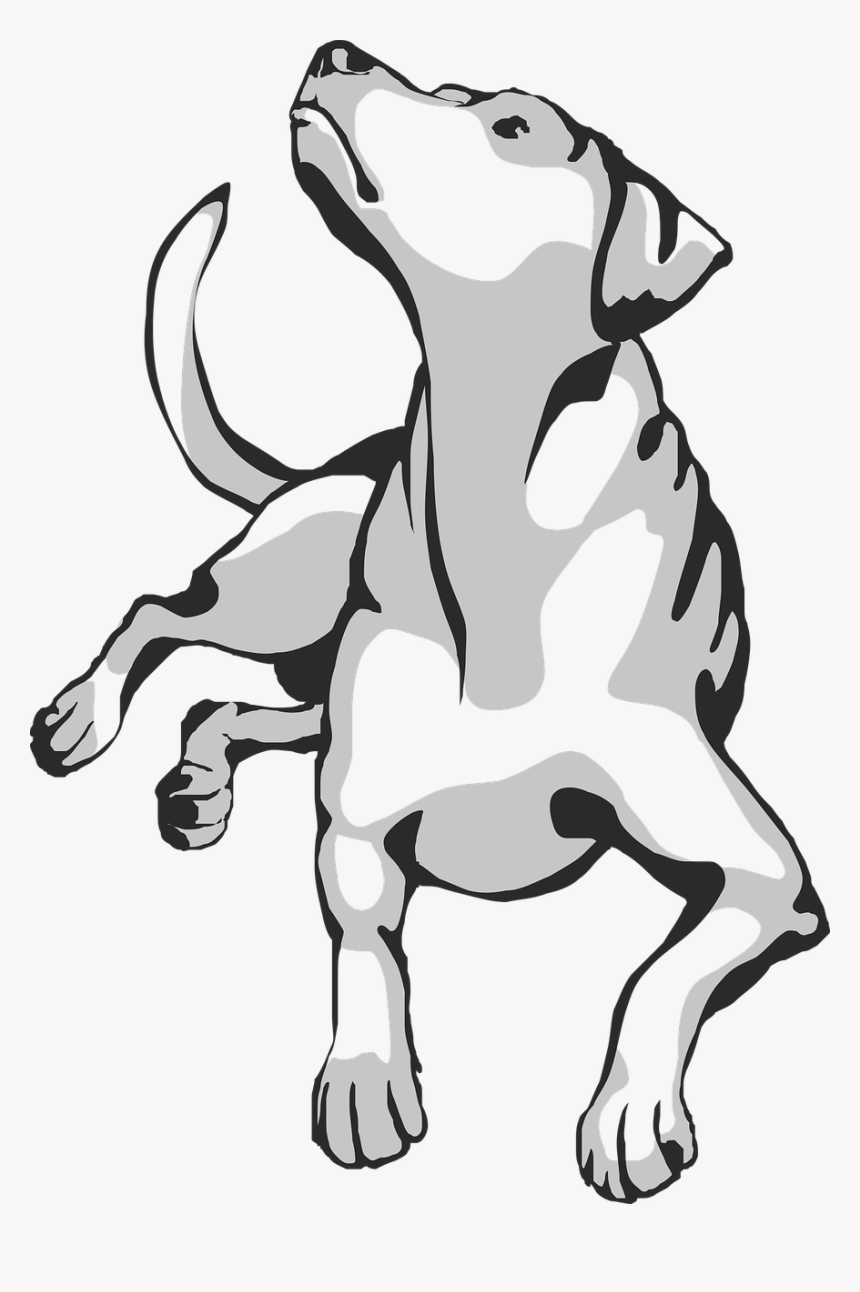 Dog Line Art, HD Png Download , Transparent Png Image - PNGitem