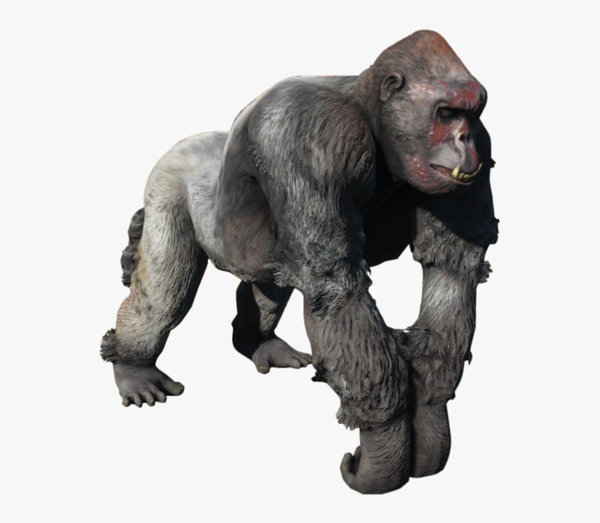 Nukapedia The Vault - Fallout Gorilla, HD Png Download , Transparent ...