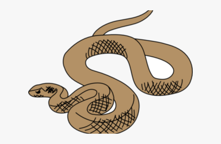 Python Clipart