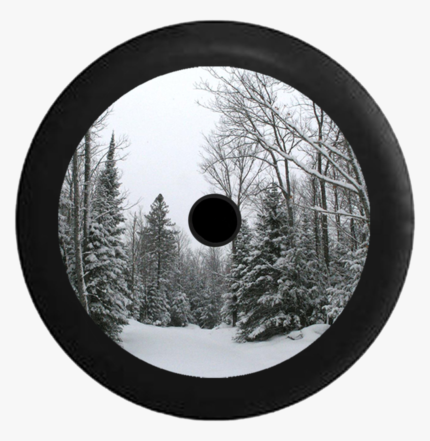 Circle, HD Png Download , Transparent Png Image - PNGitem