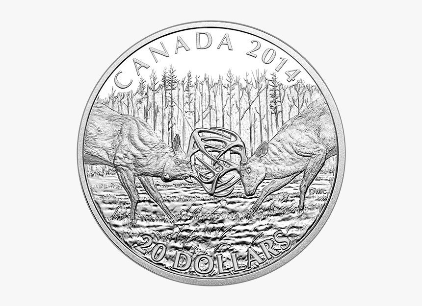 Canadian Silver Maple Leaf Coin 2020, HD Png Download , Transparent Png ...