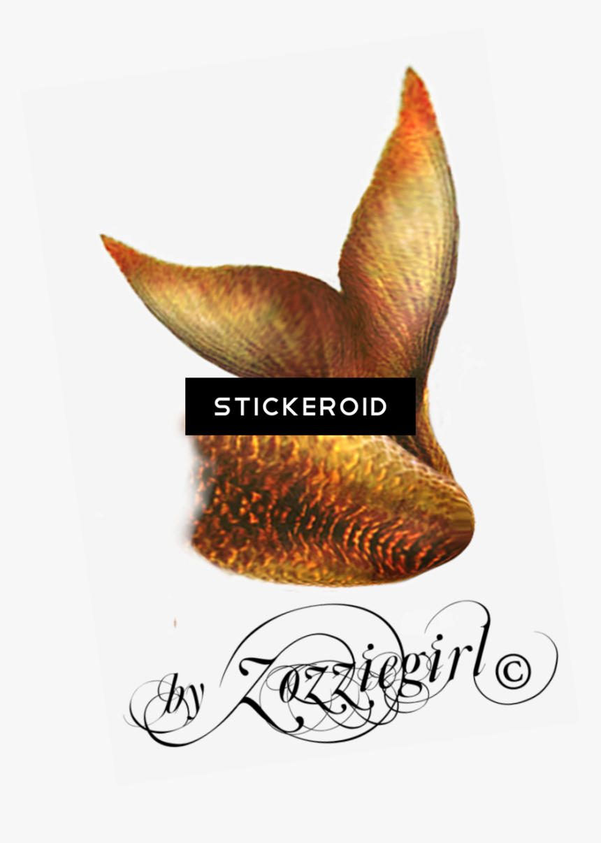 Mermaid , Png Download - Orange Mermaid Tail Drawing, Transparent Png ...