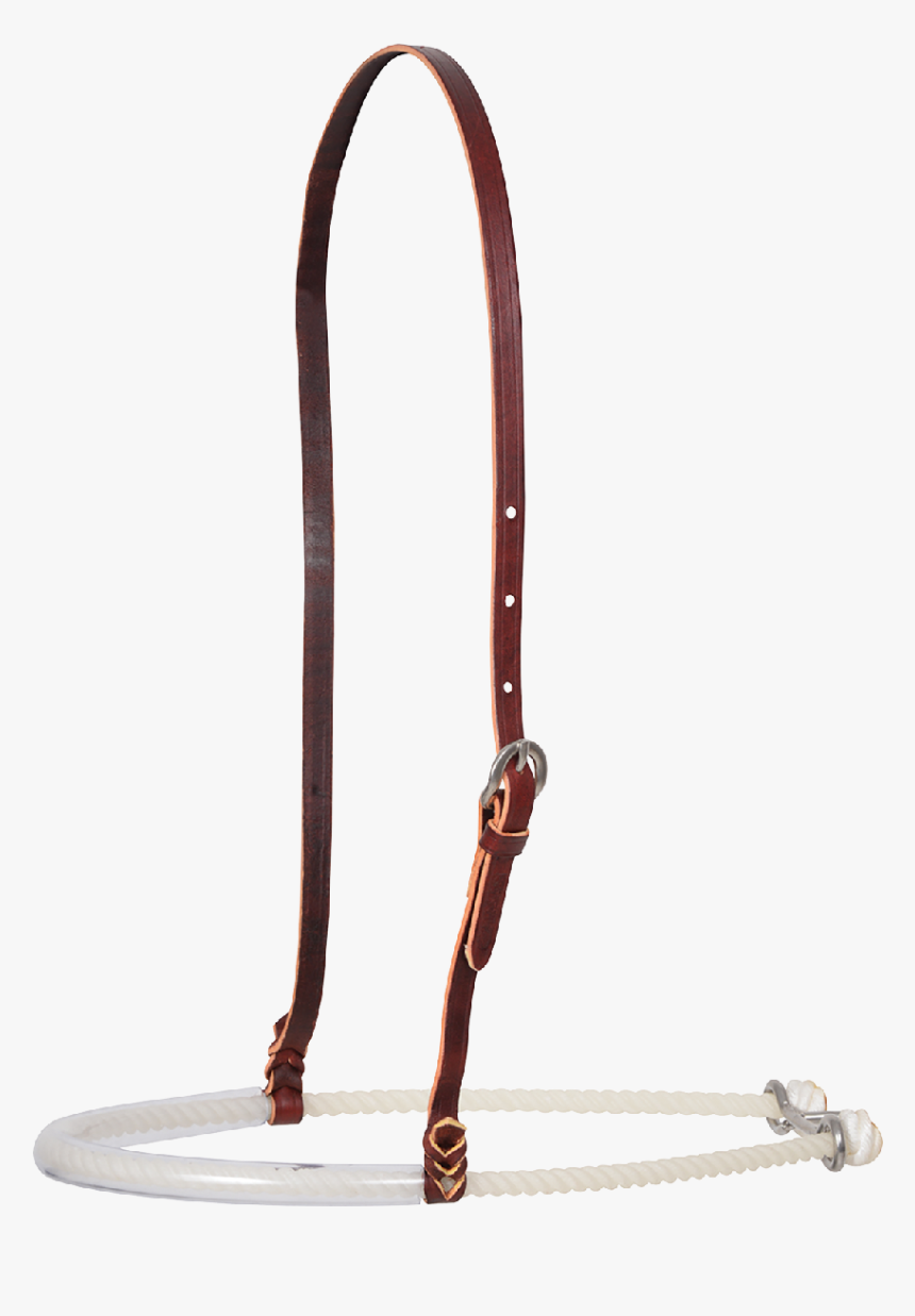 Bridle, HD Png Download , Transparent Png Image - PNGitem