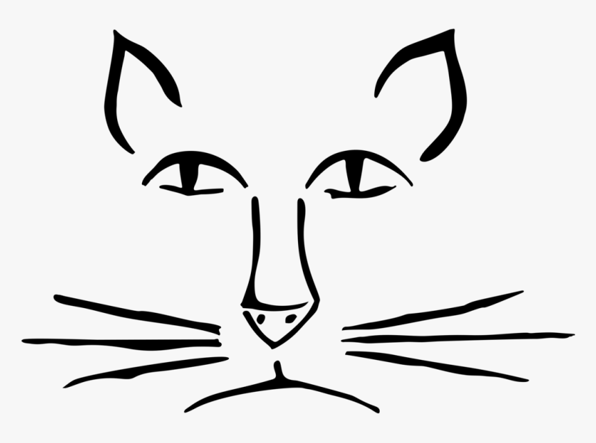 Balancing Cat Drawing Face Tail Cc0, HD Png Download , Transparent Png ...